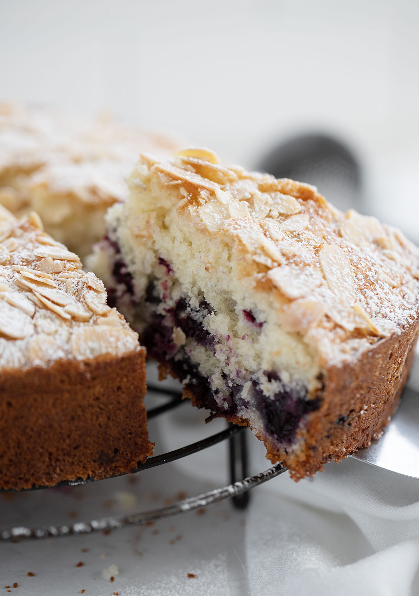 Blueberry Muffin Cake - Seasons and Suppers