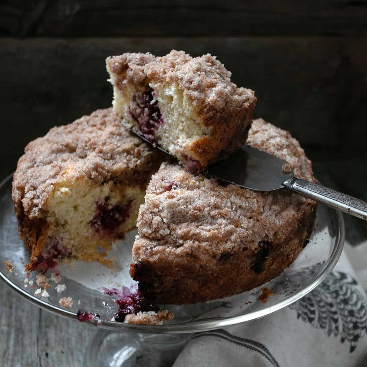 Blueberry Crumble Cake