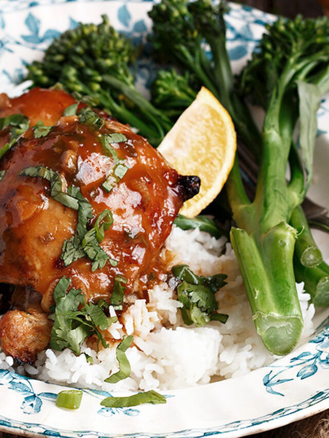 Main Course Recipes - Seasons and Suppers