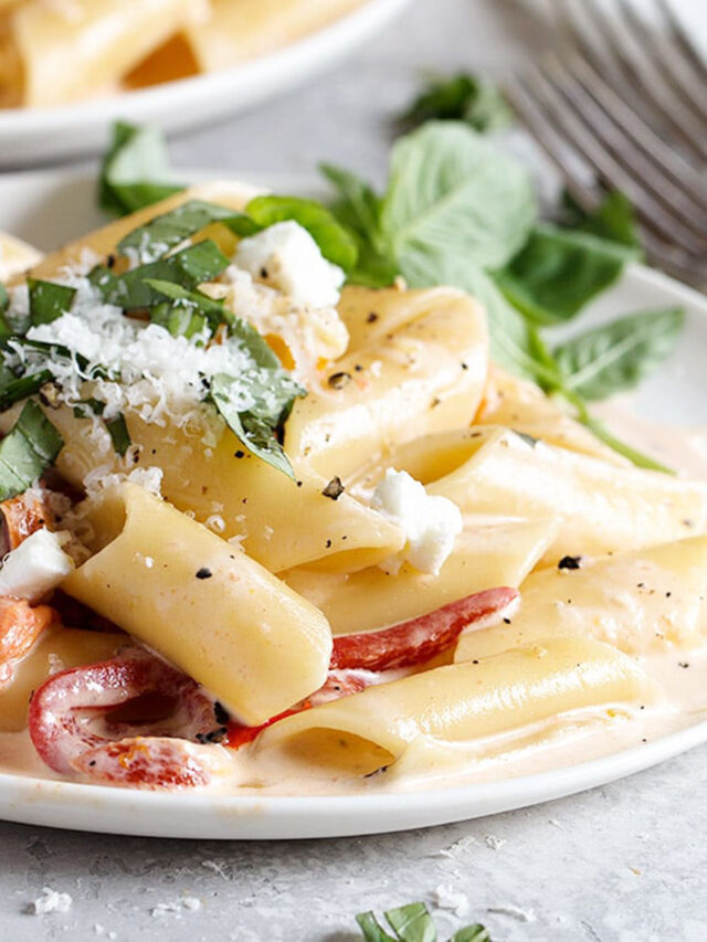 Main Course Recipes - Seasons and Suppers