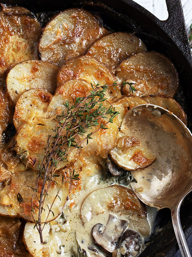 Meatless Main Course Recipes - Seasons and Suppers