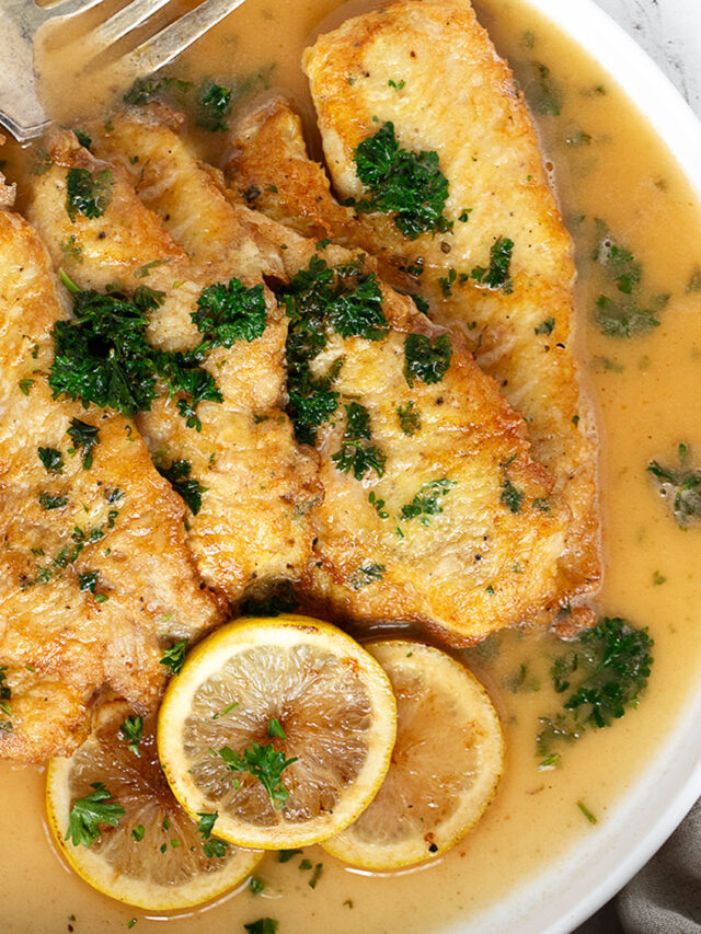 Main Course Recipes - Seasons and Suppers