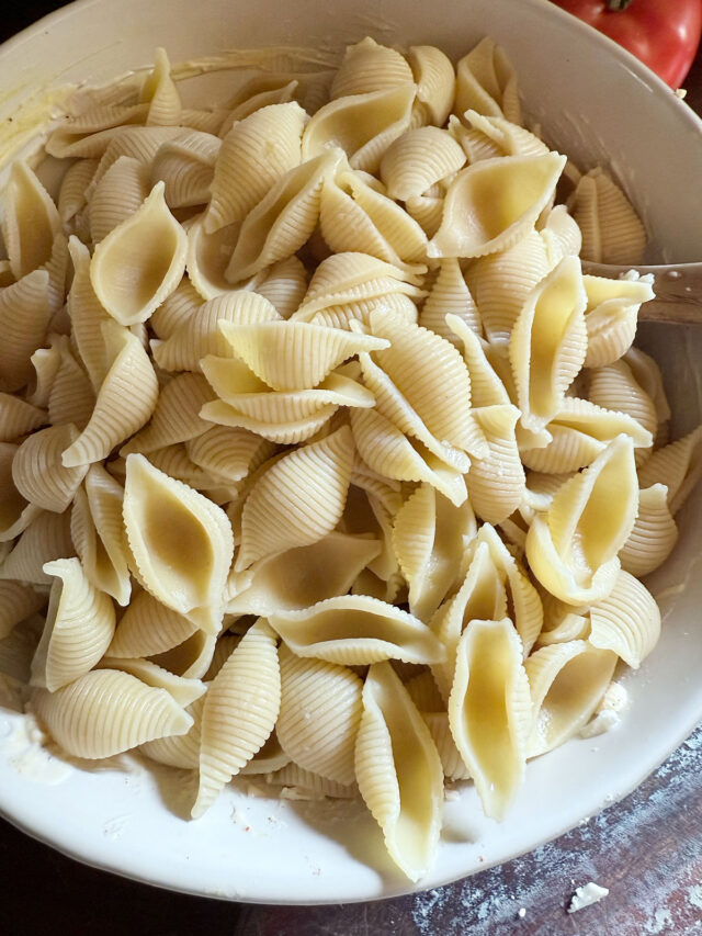 Shell Pasta Salad - Seasons and Suppers